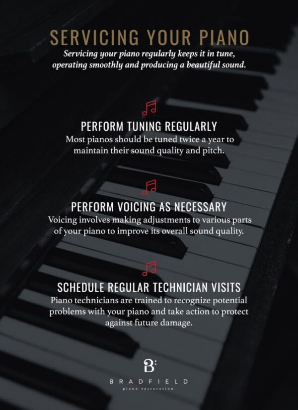 How To Prevent Damage To Your Piano | A Complete Guide To Piano Care